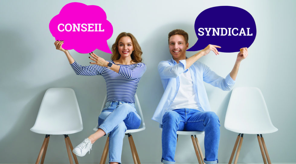Le Conseil Syndical Et Le Couple Cpgp